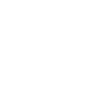 CVI Fund – CIM Capital